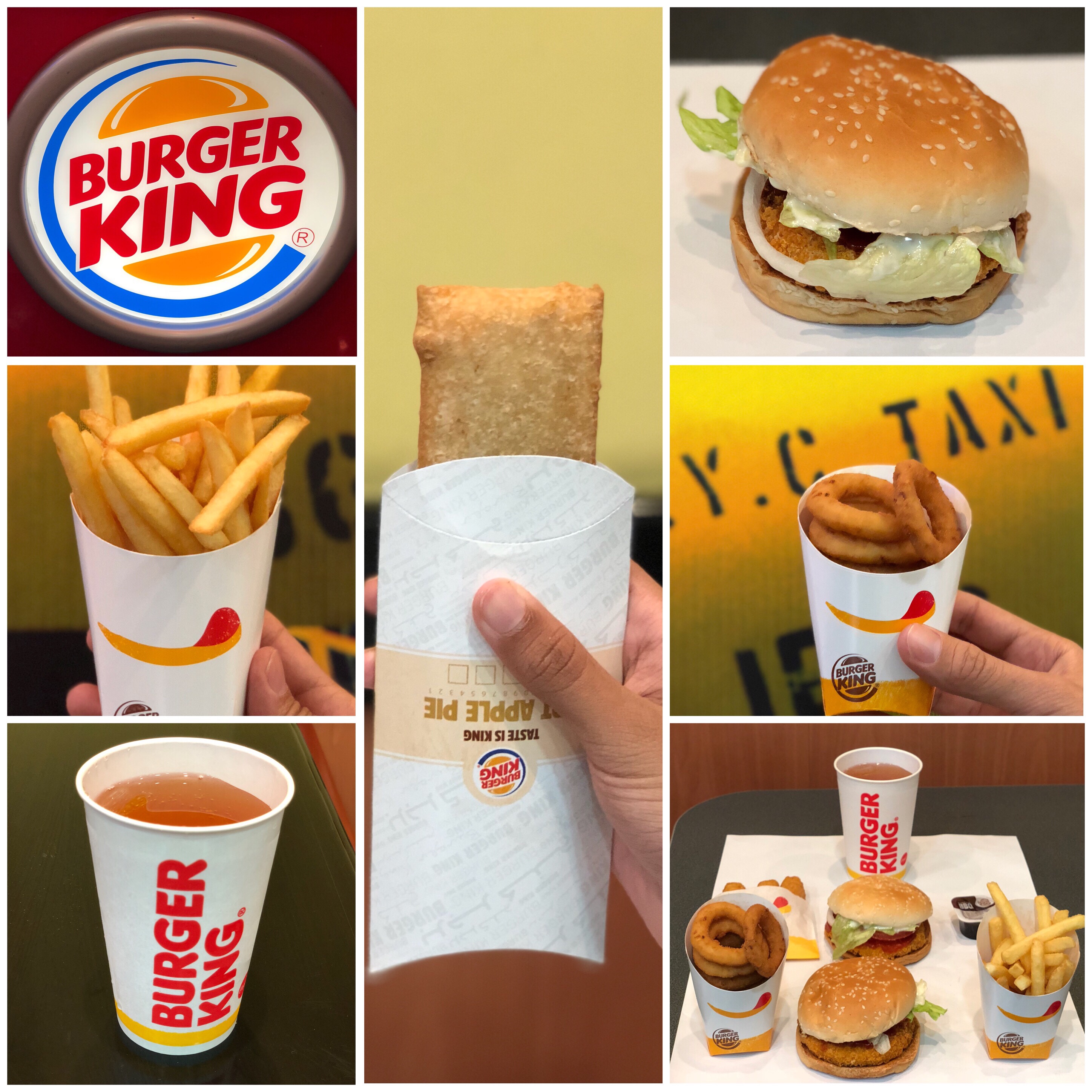 Burger King Introduces new Paneer Burger – megsblogged.com